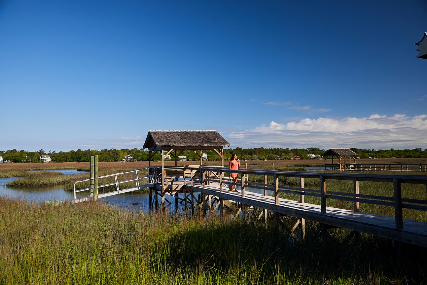 Discover Stunning Pawleys Island Photos | OnlyPawleys