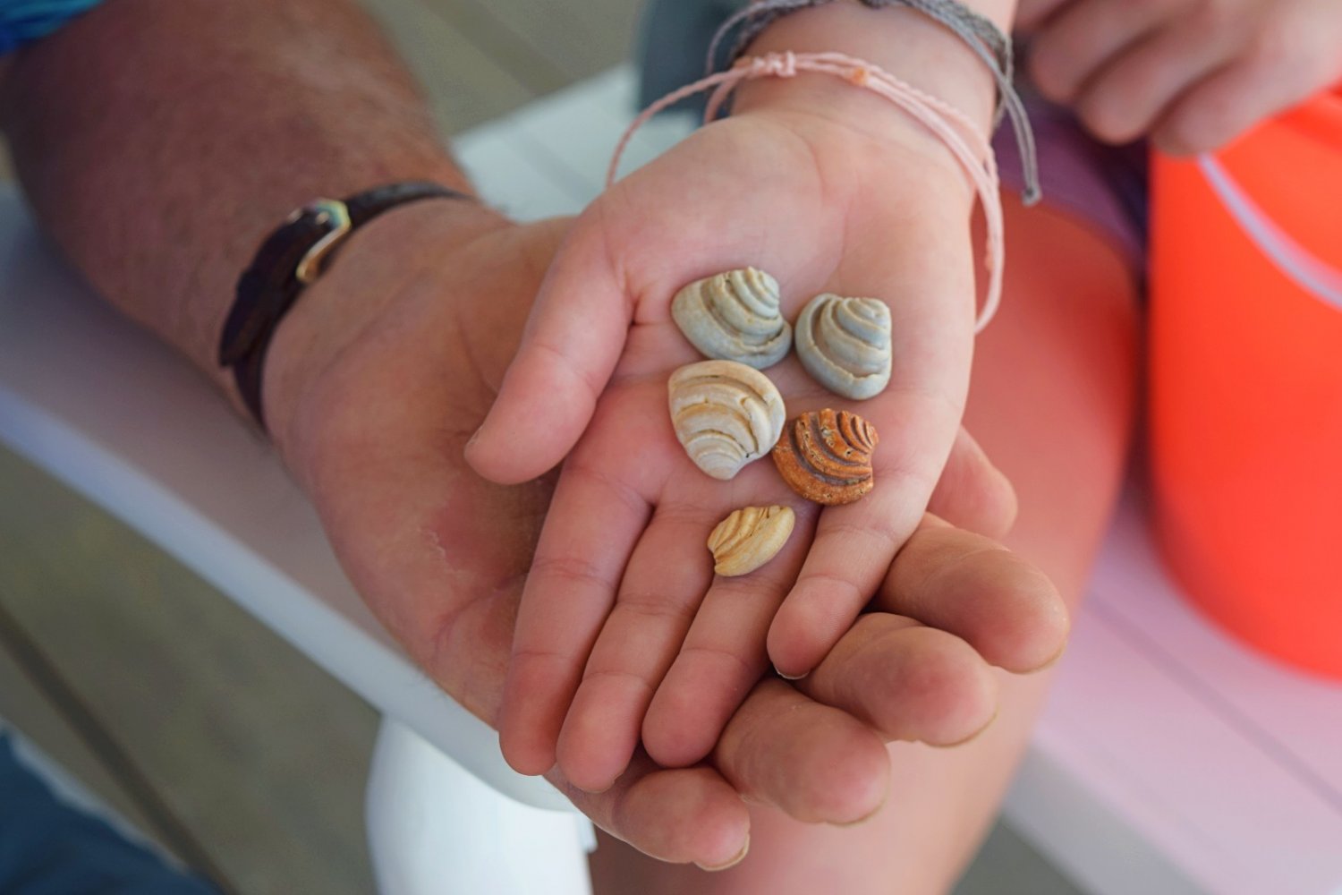 Discover Exciting Activities In Pawleys Island - OnlyPawleys