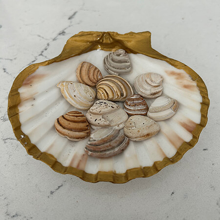 Beachcombing Treasures On Pawleys Island | OnlyPawleys