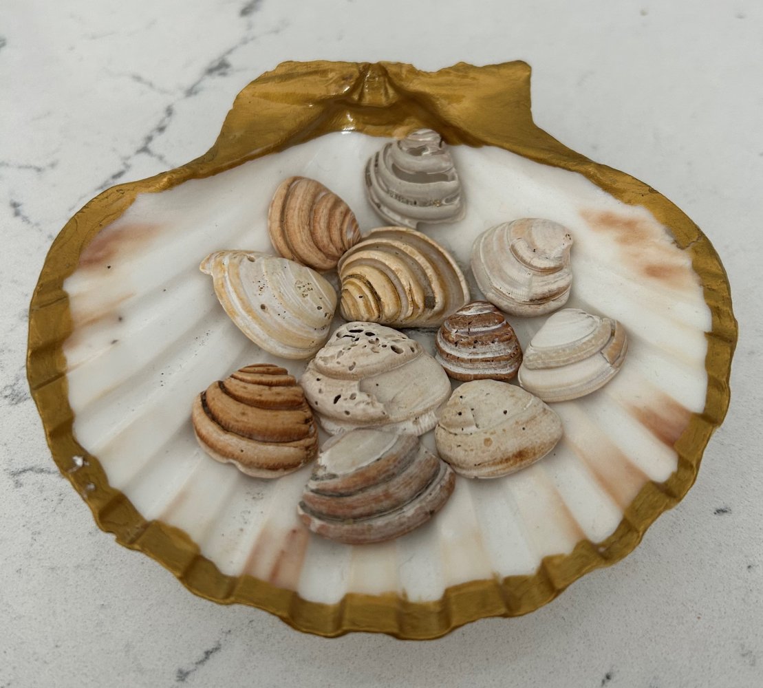 Top 20 FAQs About Pawleys Island Answered | OnlyPawleys