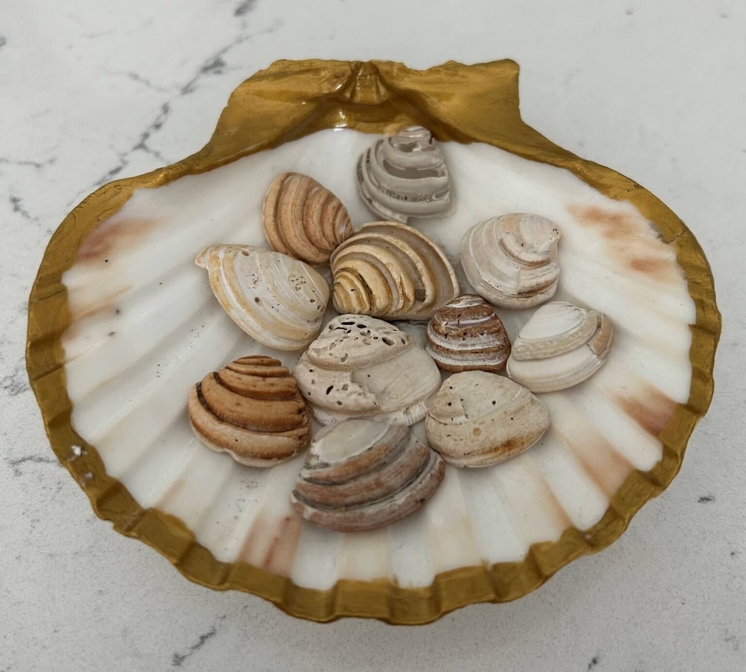 Top 20 most frequently asked questions about Pawleys Island answered ...