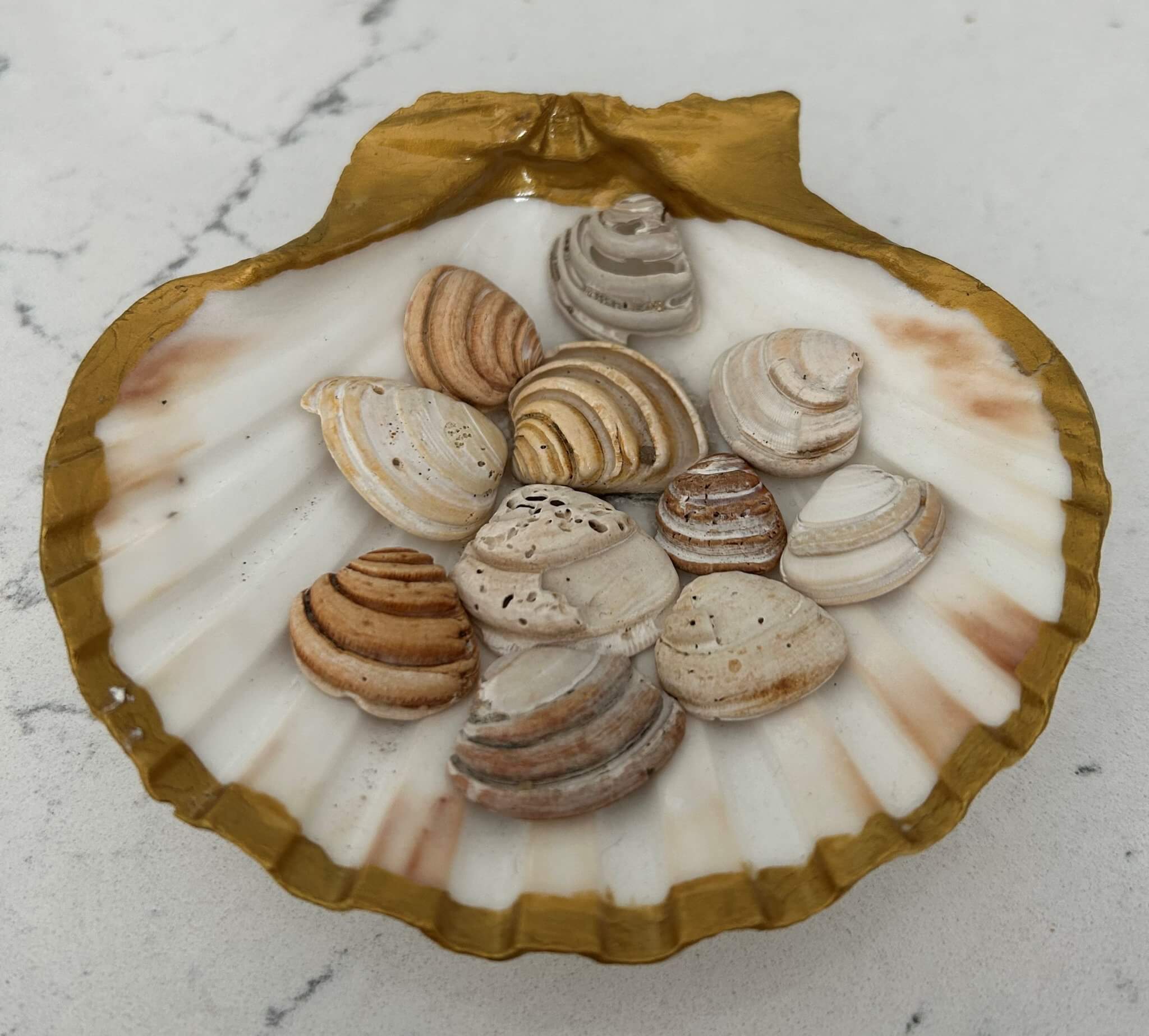 Top 20 most frequently asked questions about Pawleys Island answered ...