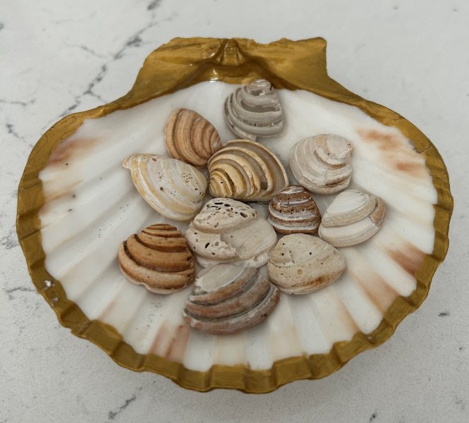 Top 20 most frequently asked questions about Pawleys Island answered ...