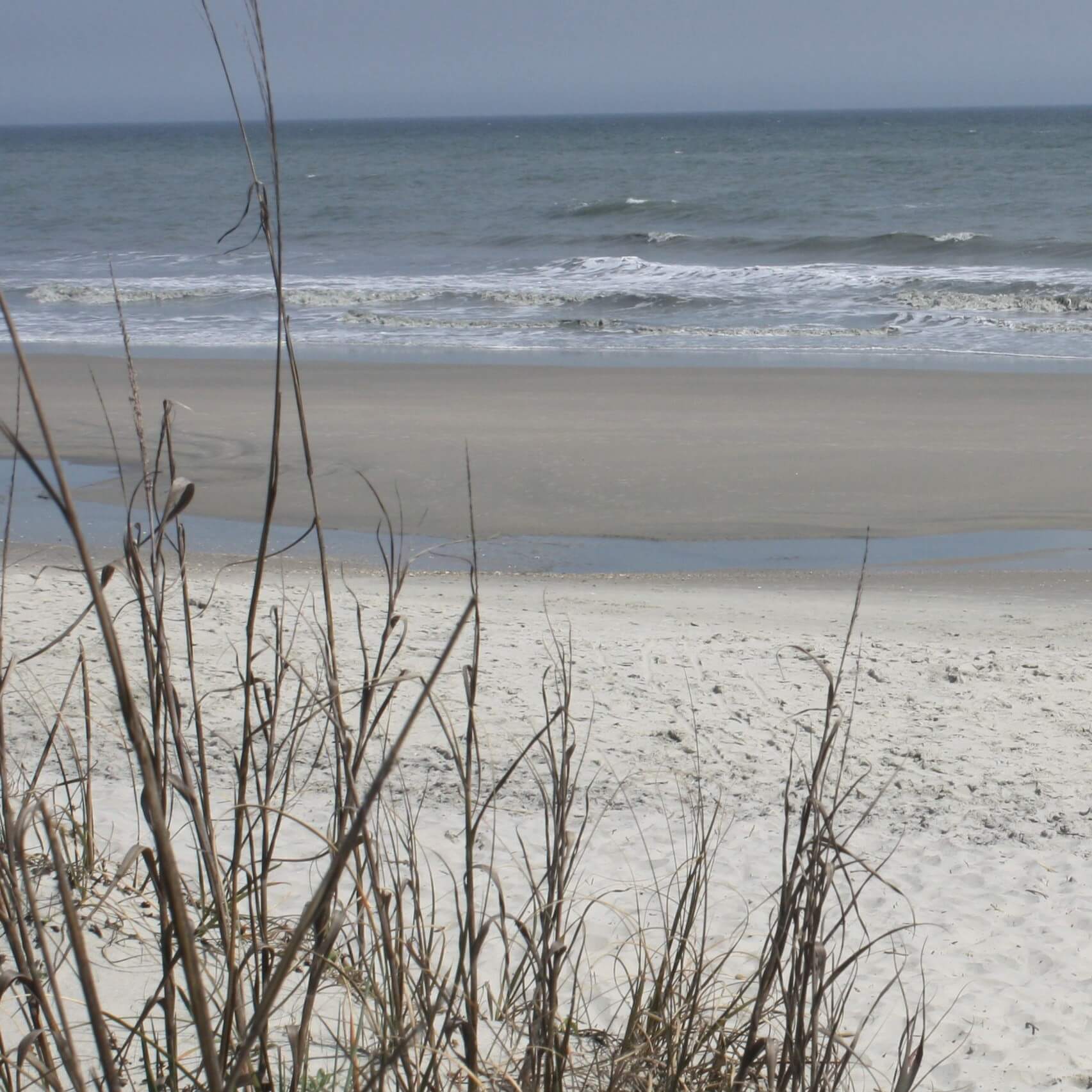 Southern Living Shares Best Activities In Pawleys Island